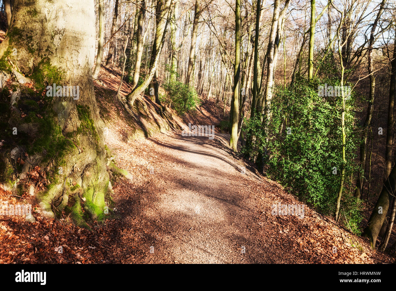 Hills landscape with walking path and trees Stock Photo - Alamy
