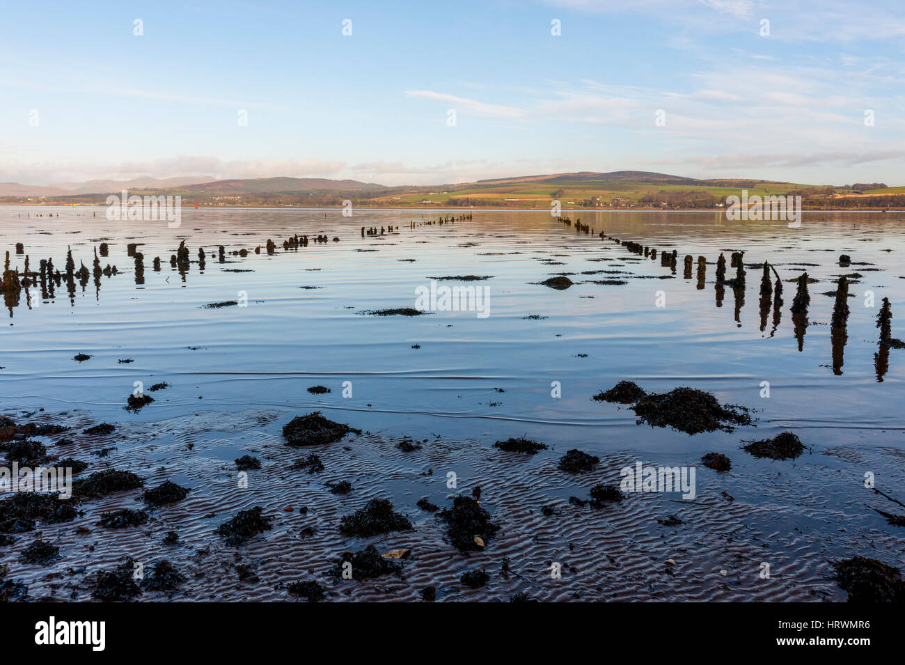 The ship timber storage ponds at Parklea Port Glasgow on the river ...