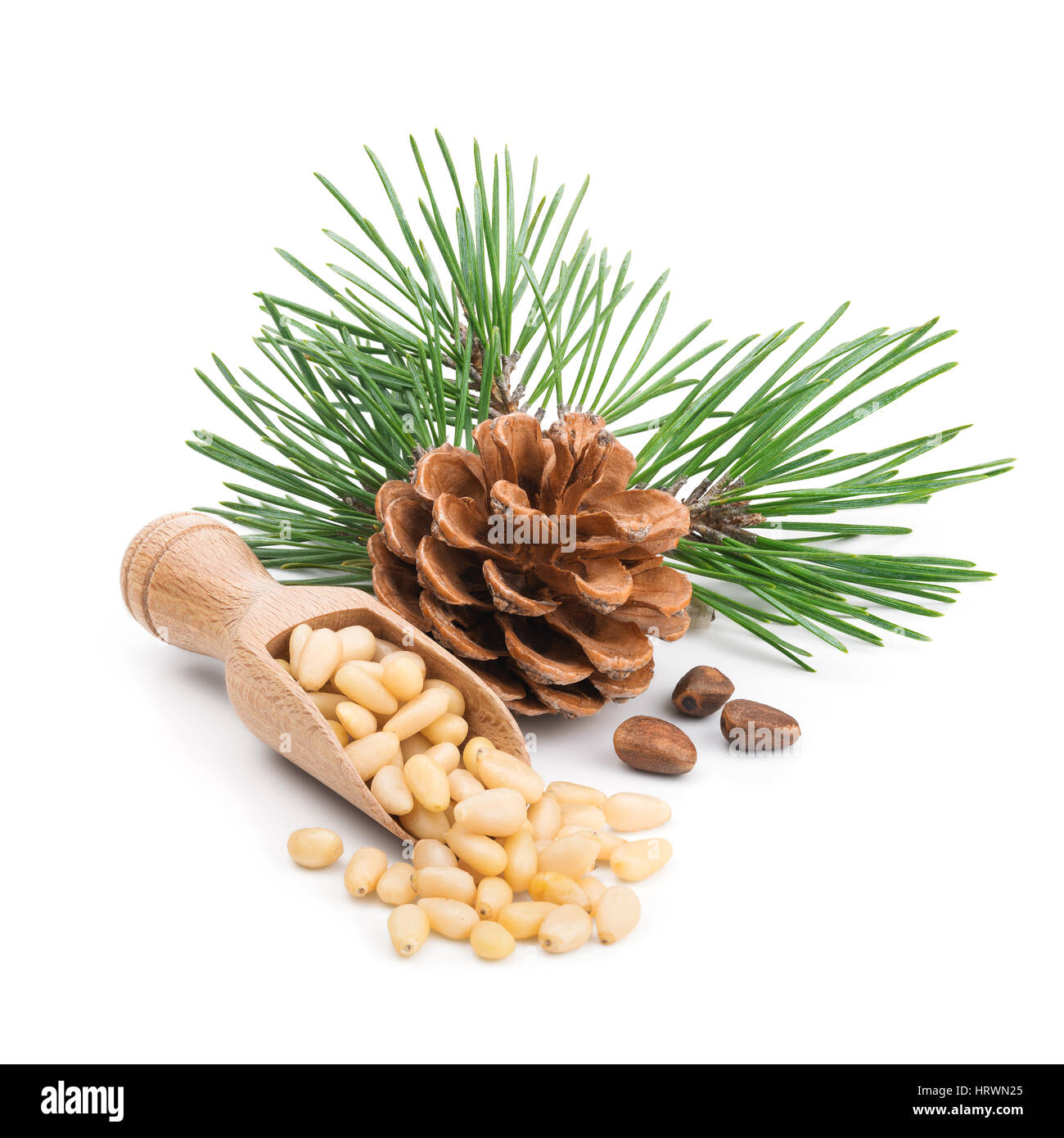 White cedar branch hi-res stock photography and images - Alamy