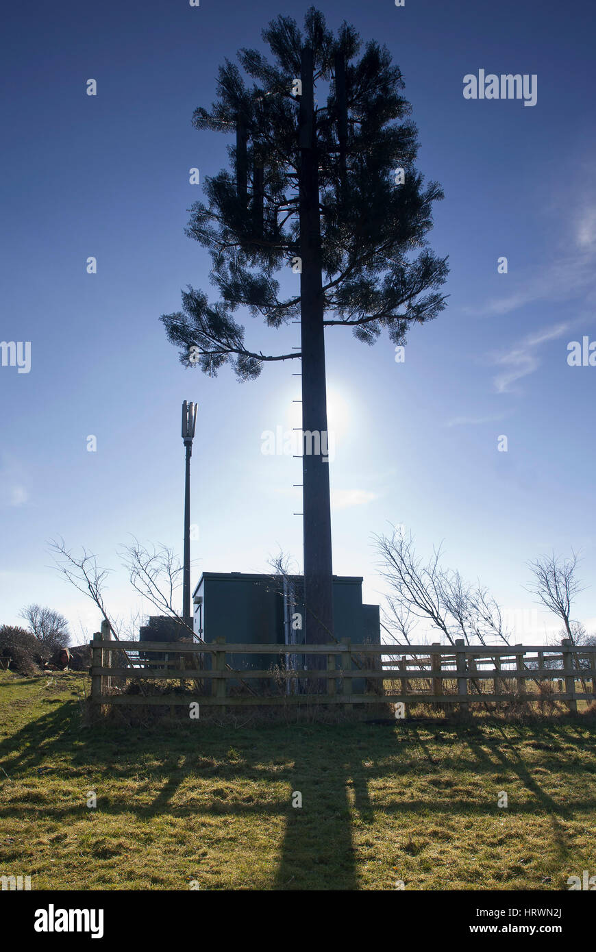 Mobile phone cellular equipment aerial mast imitation tree control box ...