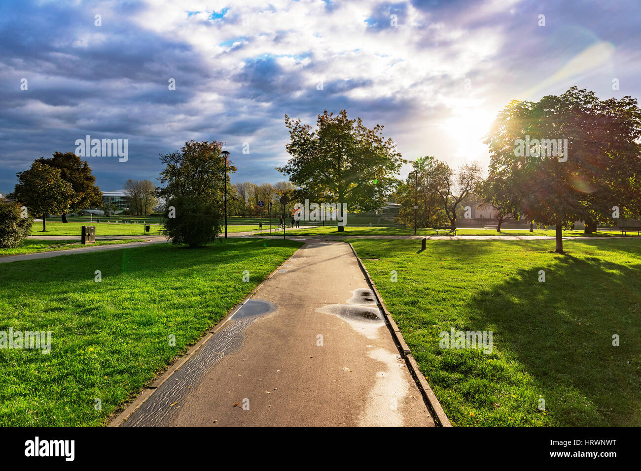 Light shining through trees hi-res stock photography and images - Alamy