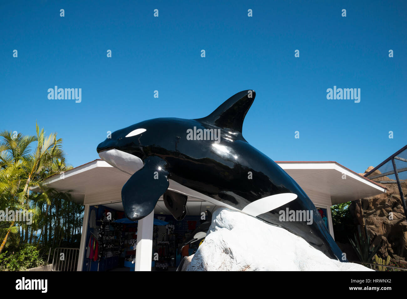 Orca statue hi-res stock photography and images - Alamy
