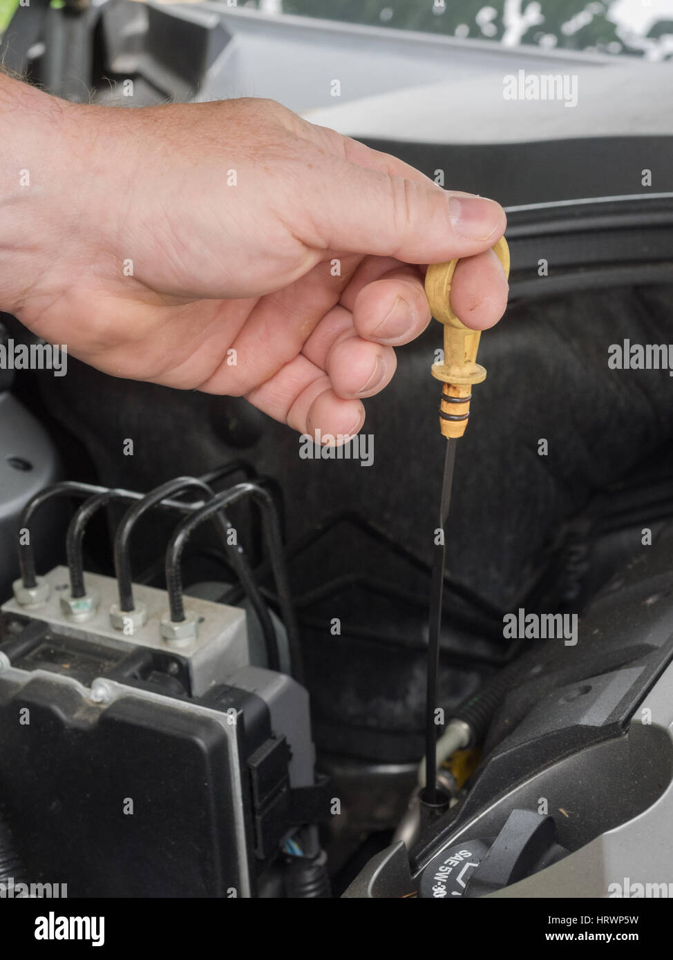 Someone ist measuring the oil level of a car Stock Photo - Alamy