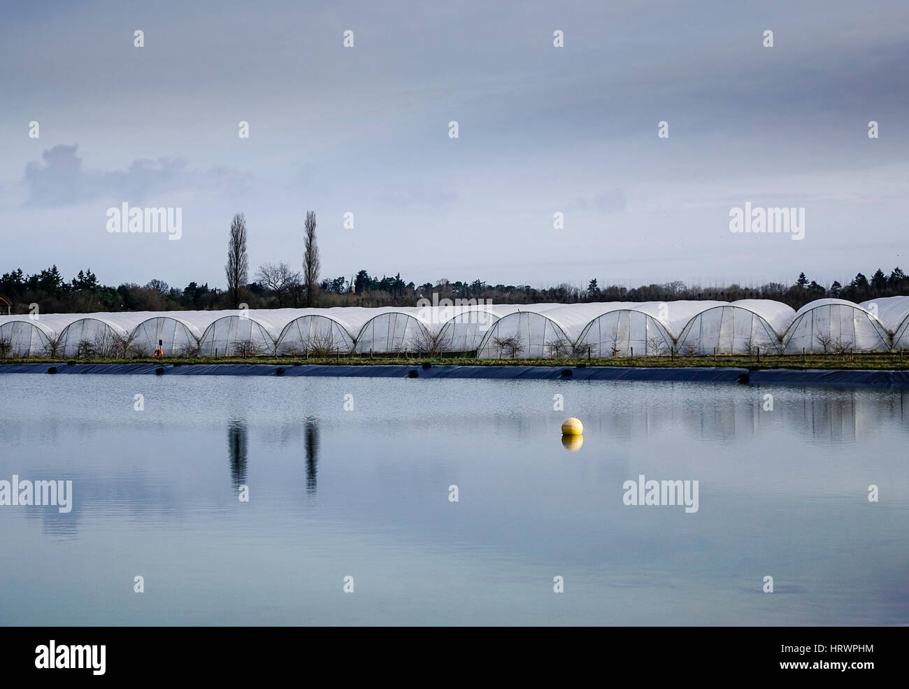 Tuesley farm hi-res stock photography and images - Alamy