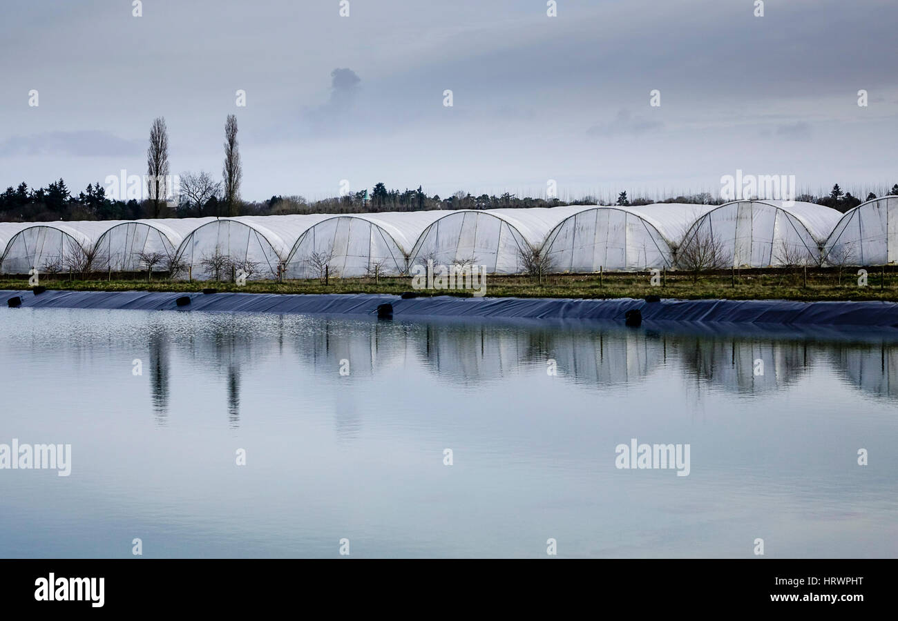 Tuesley farm hi-res stock photography and images - Alamy