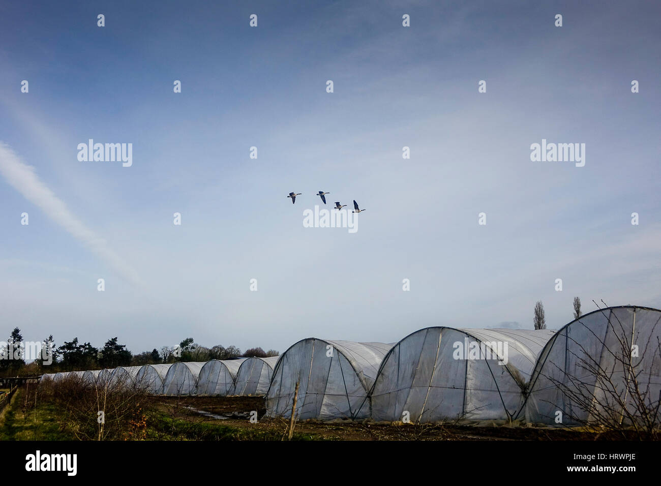 Tuesley farm hi-res stock photography and images - Alamy