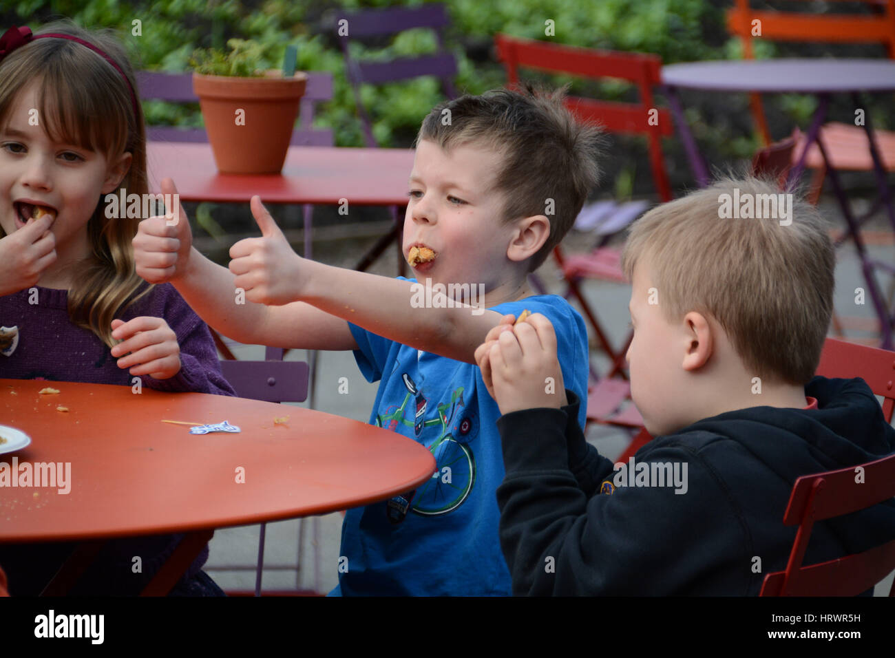 Wadebridge primary hi-res stock photography and images - Alamy