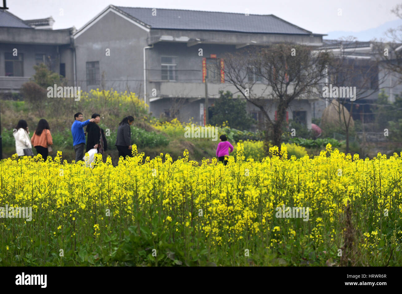 Nanchang, China's Jiangxi Province. 4th Mar, 2017. Tourists view cole ...