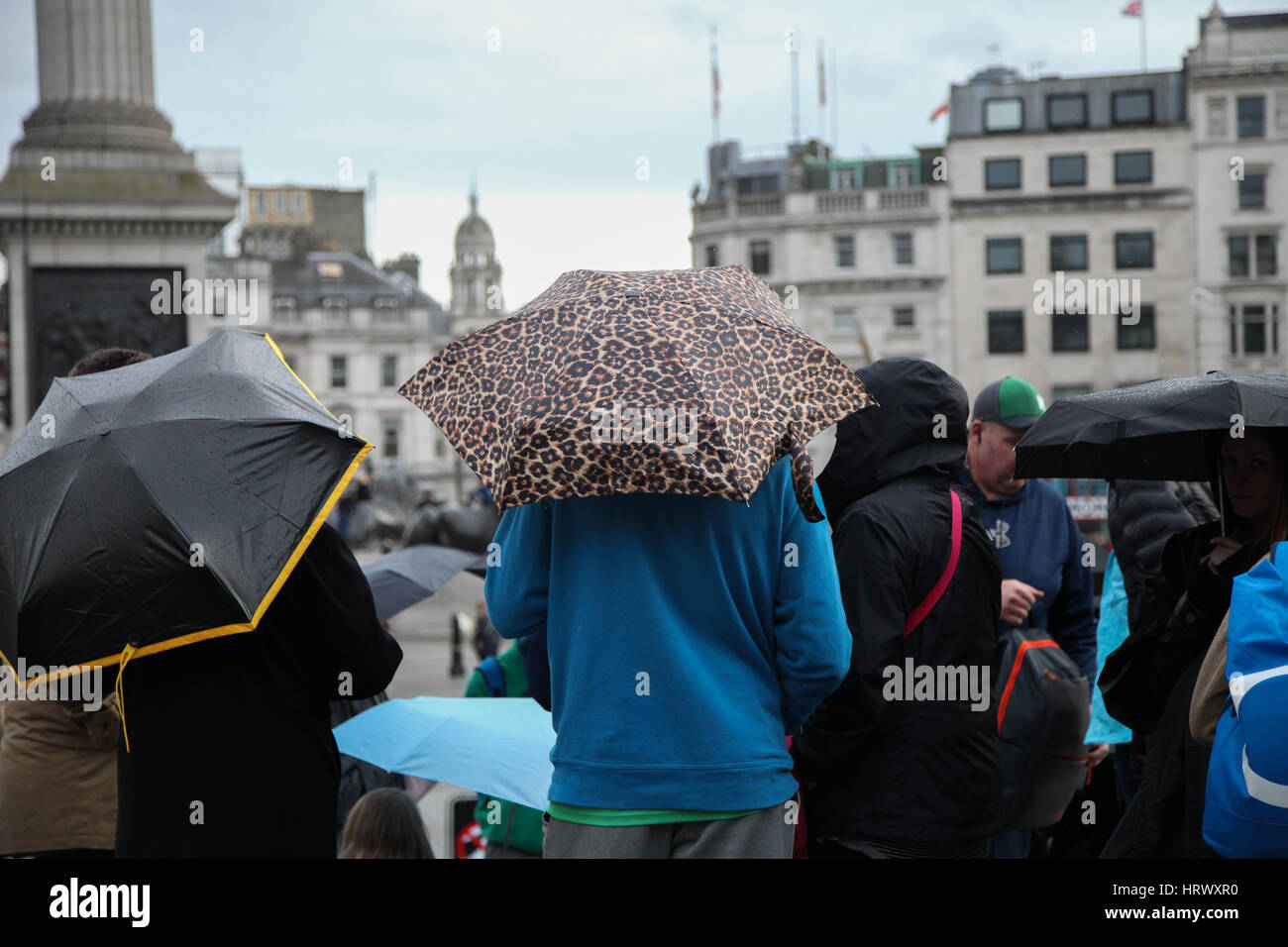 Trafalgar Square . London. UK 4 Mar 2017 - Tourists shelter under ...