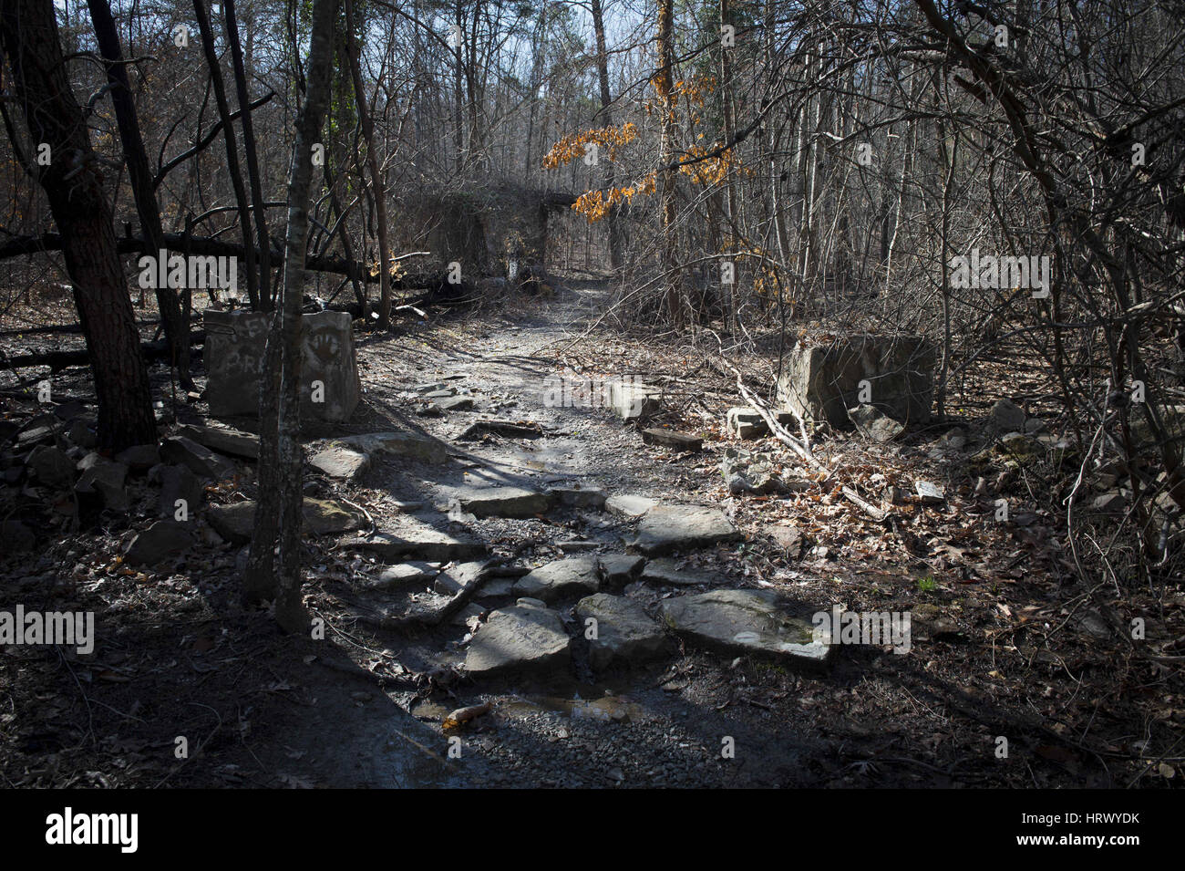 March 4, 2017 - Summerville, GA - Crumbled remains of 'Corpsewood Manor ...