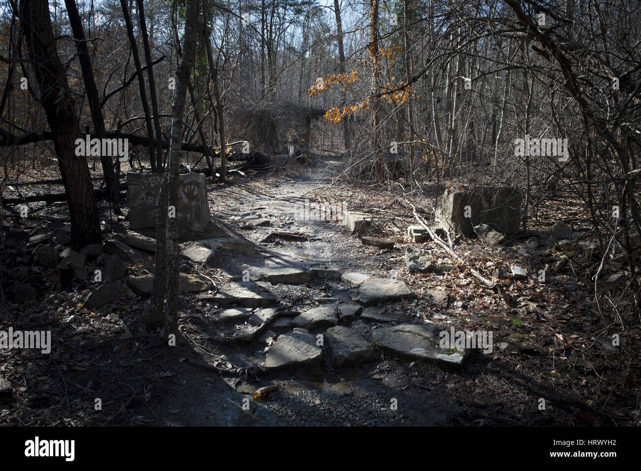 March 4, 2017 - Summerville, GA - Crumbled remains of 'Corpsewood Manor ...