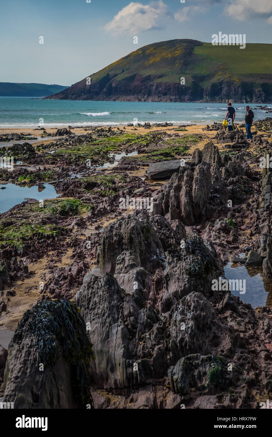 Rock formations on the beaches in the UK Stock Photo - Alamy