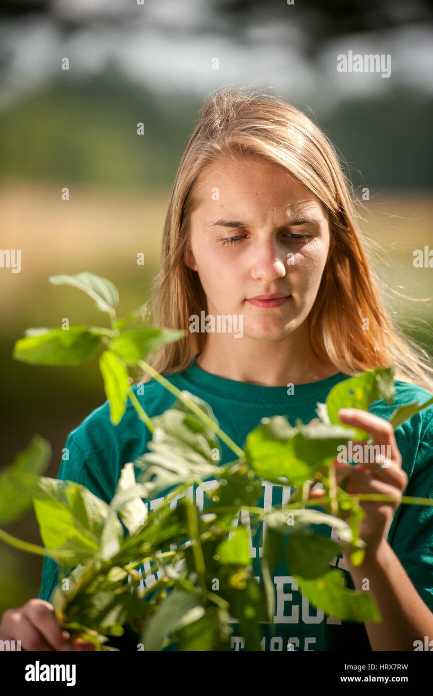 Female students farming in Field Fiorello Stock Photo - Alamy