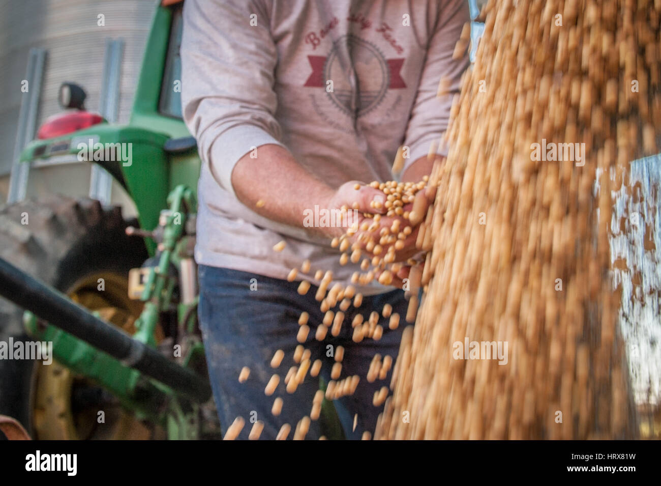 Sifting beans on Pennsylvania farm Stock Photo - Alamy