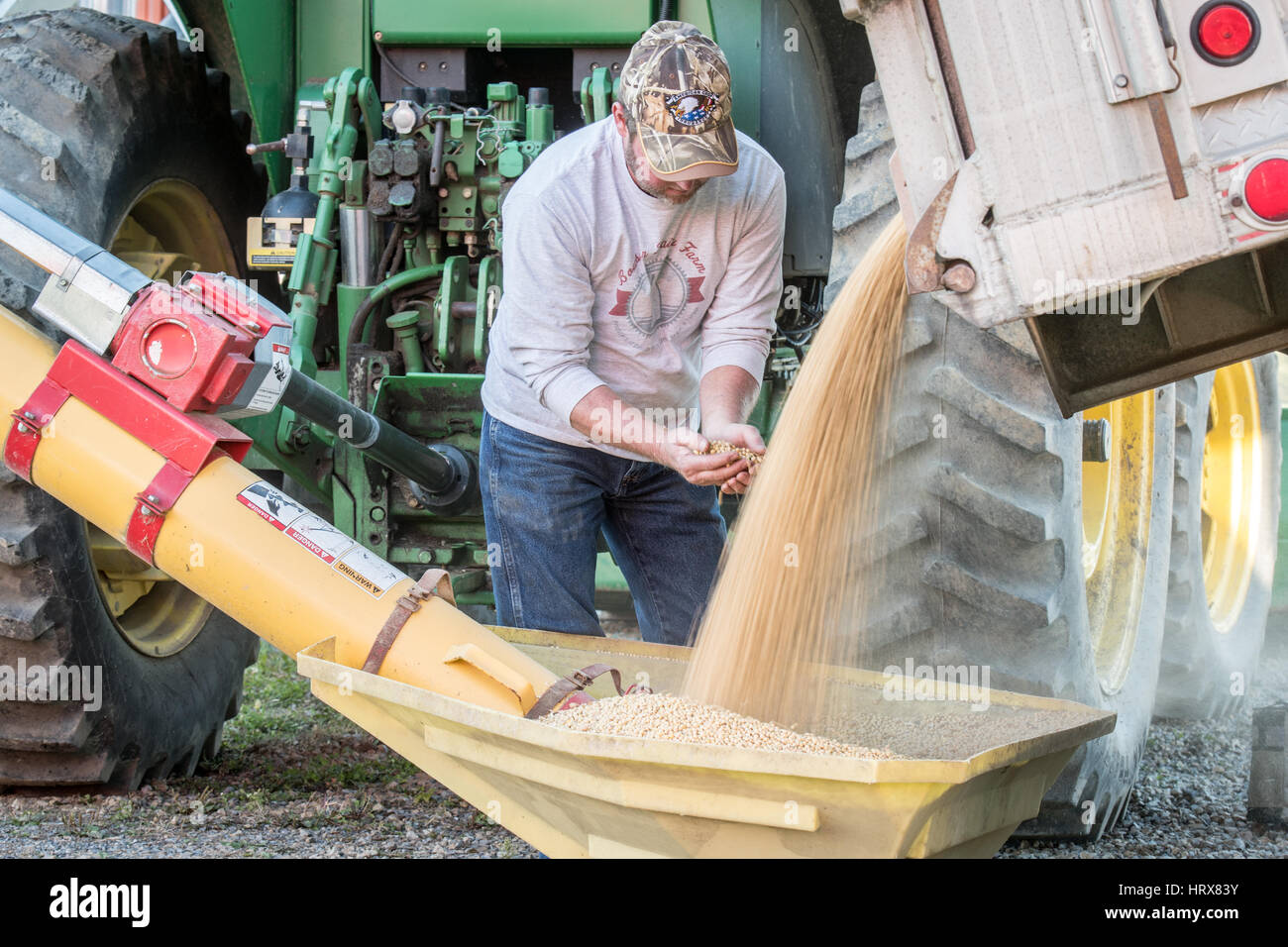 Sifting beans on Pennsylvania farm Stock Photo - Alamy