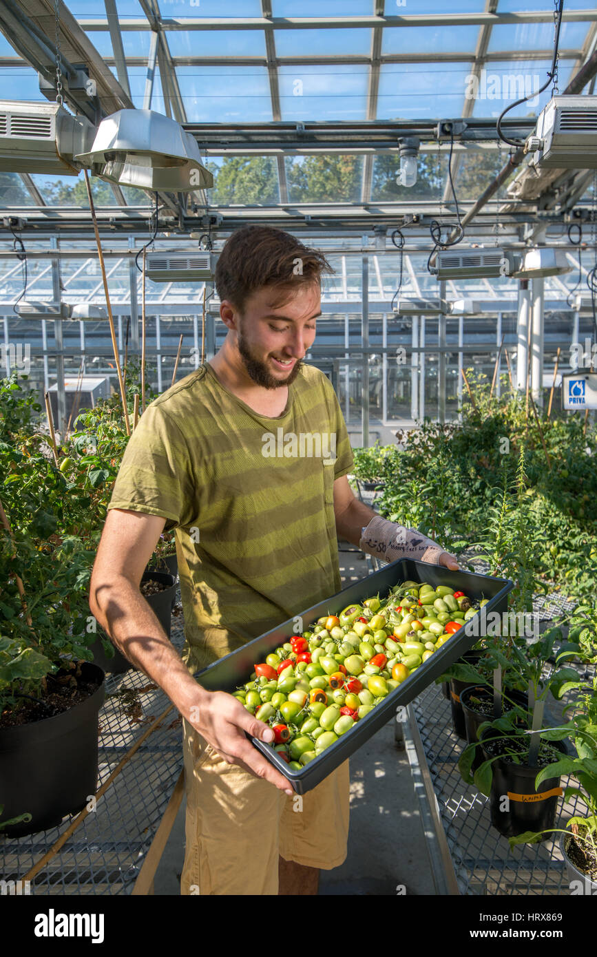 Man farming vineyard Stock Photo - Alamy