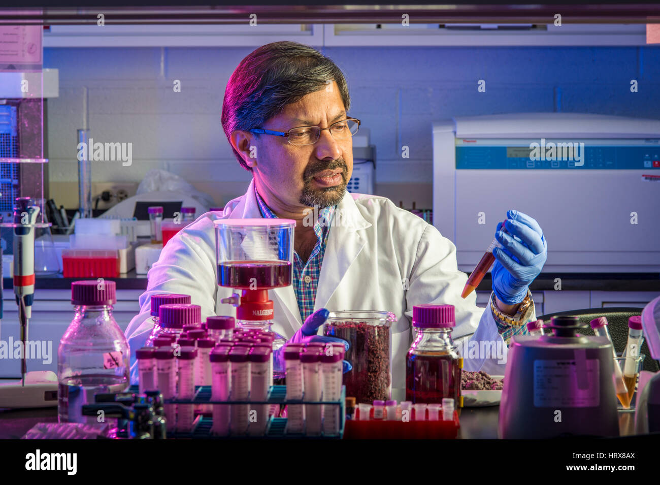Scientist in laboratory with purple liquid Stock Photo - Alamy