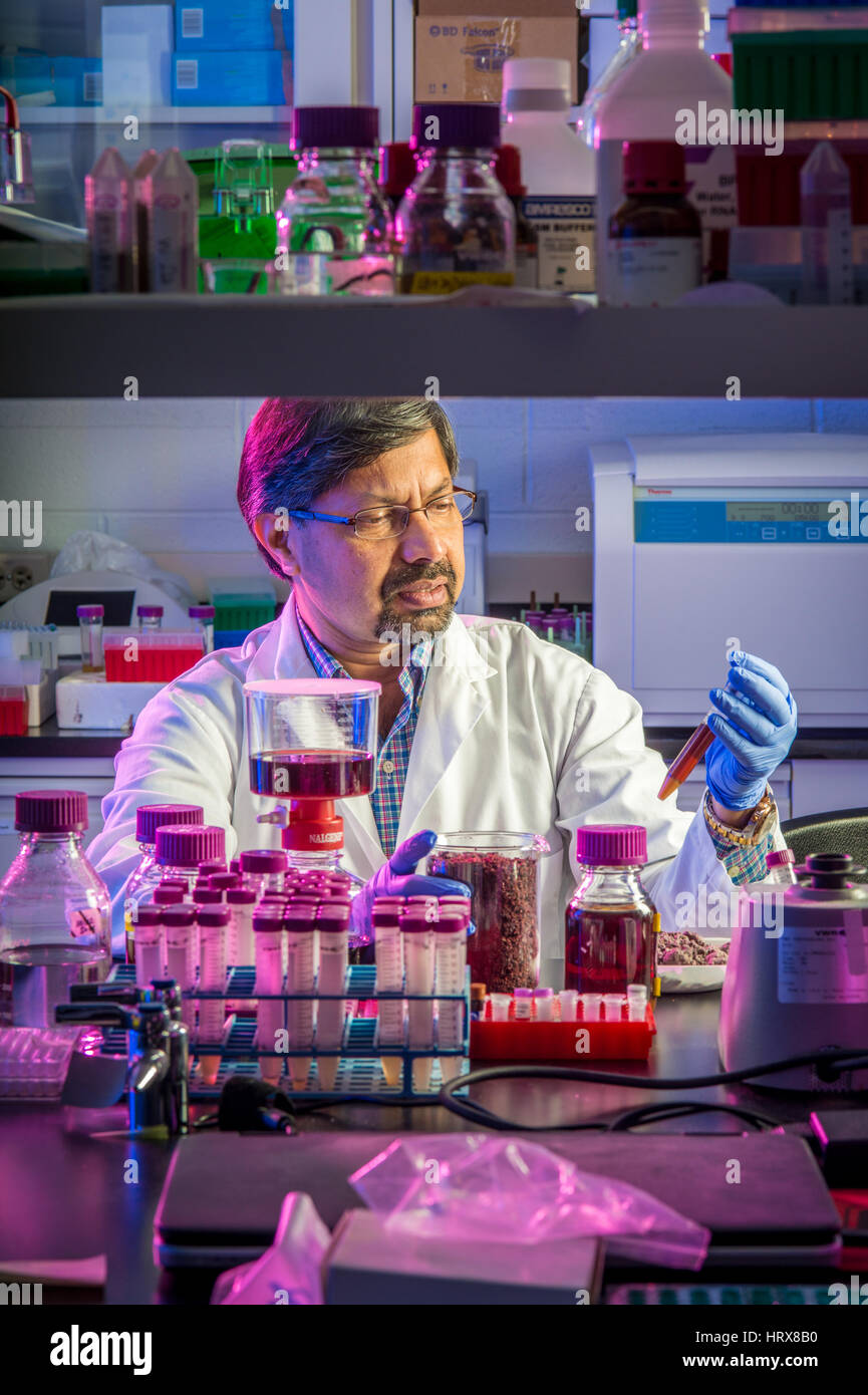 Scientist in laboratory with purple liquid Stock Photo - Alamy