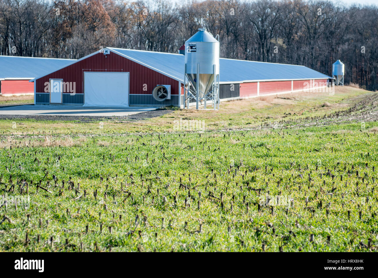 Poultry farming maryland hi-res stock photography and images - Alamy