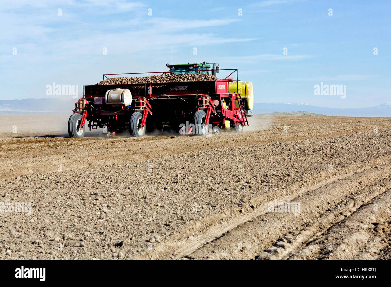 A farmer using a tractor and planting implement, plants potatoes in the ...