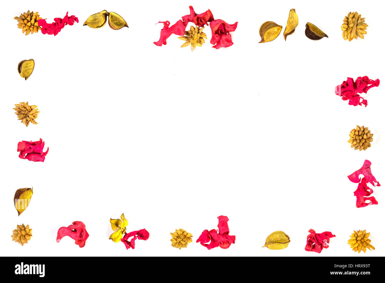 Colorful dried flowers, plants border frame on white background. Top ...