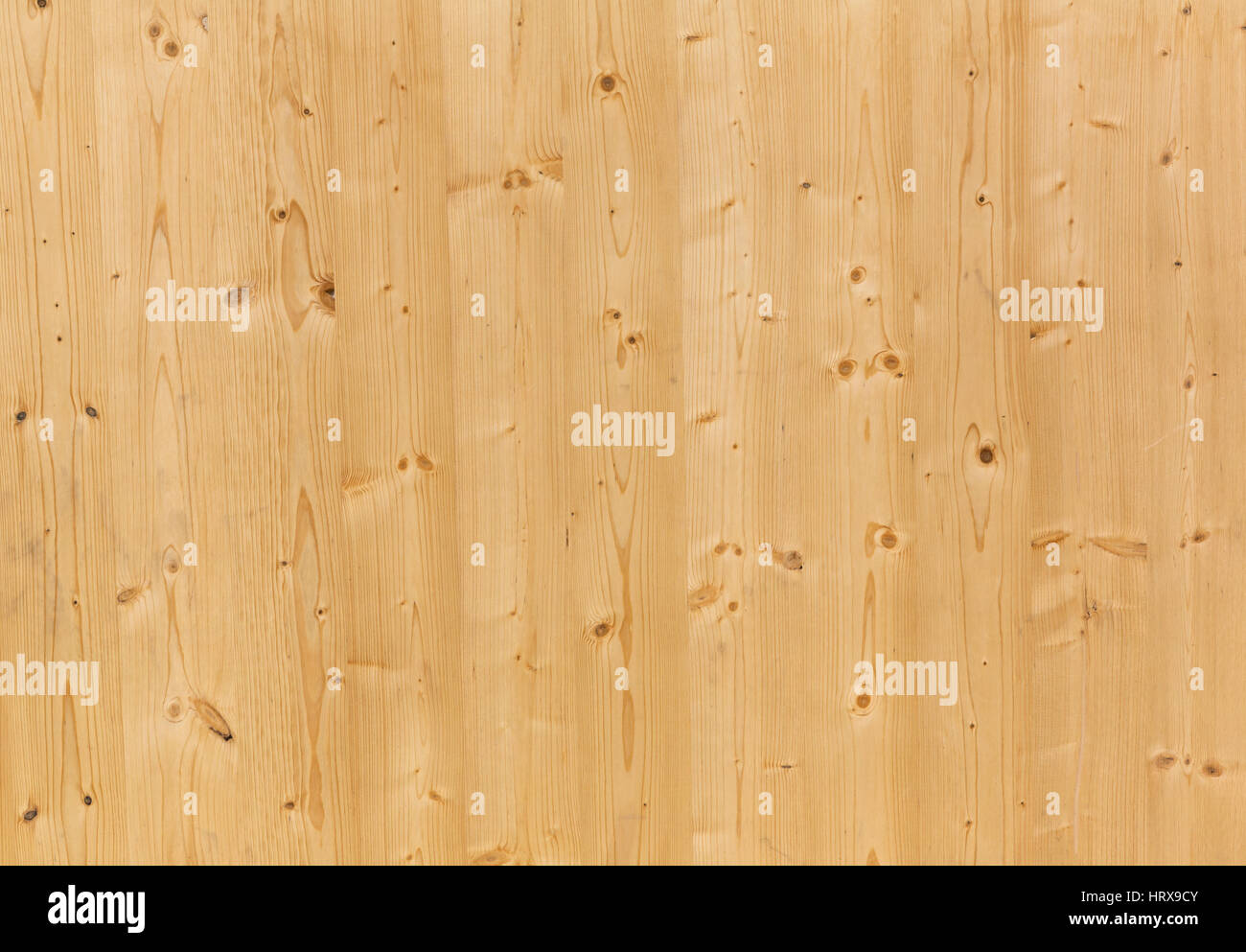 texture of pine wood panel Stock Photo - Alamy