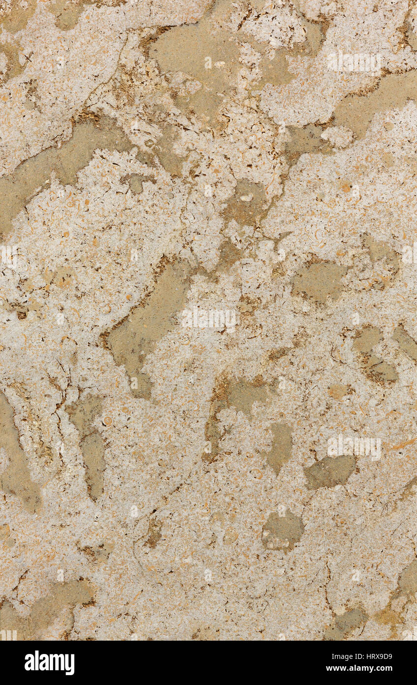 Spotted stone hi-res stock photography and images - Alamy