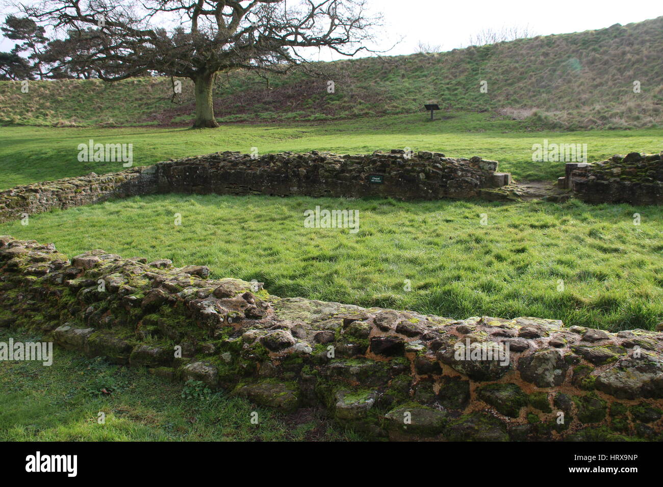 Castle Rising 12th Century Medieval castle, Norfolk Stock Photo - Alamy