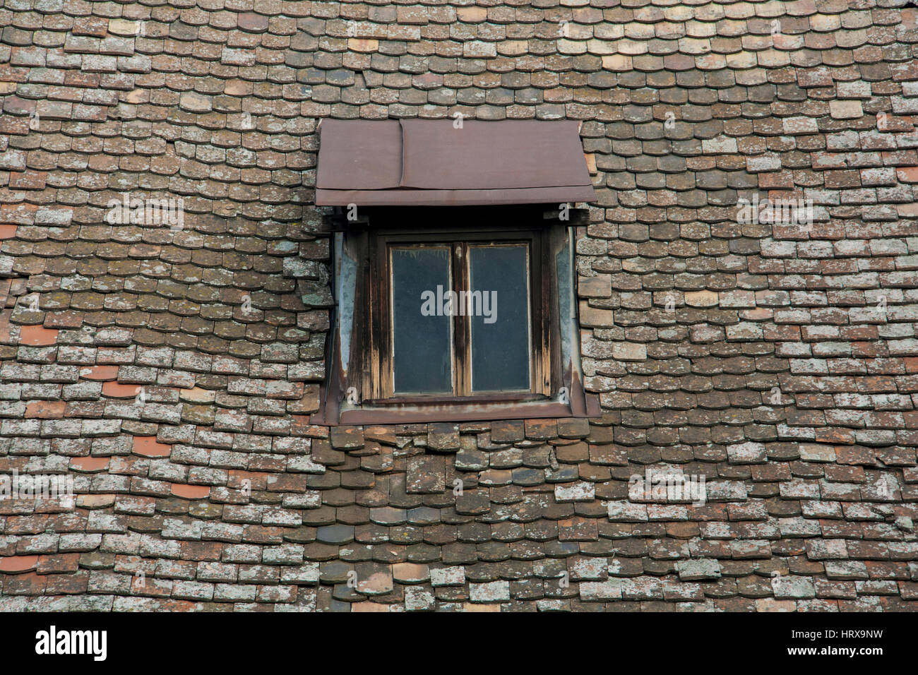 Dormer with roof tiles hi-res stock photography and images - Alamy