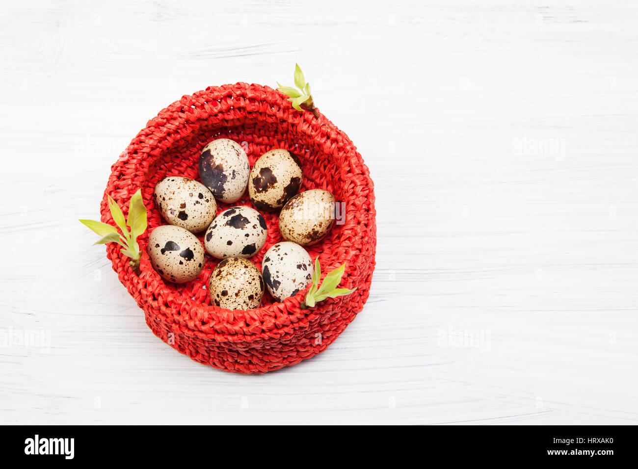 Red nest with quail eggs and young tree leaves. Easter composition on ...