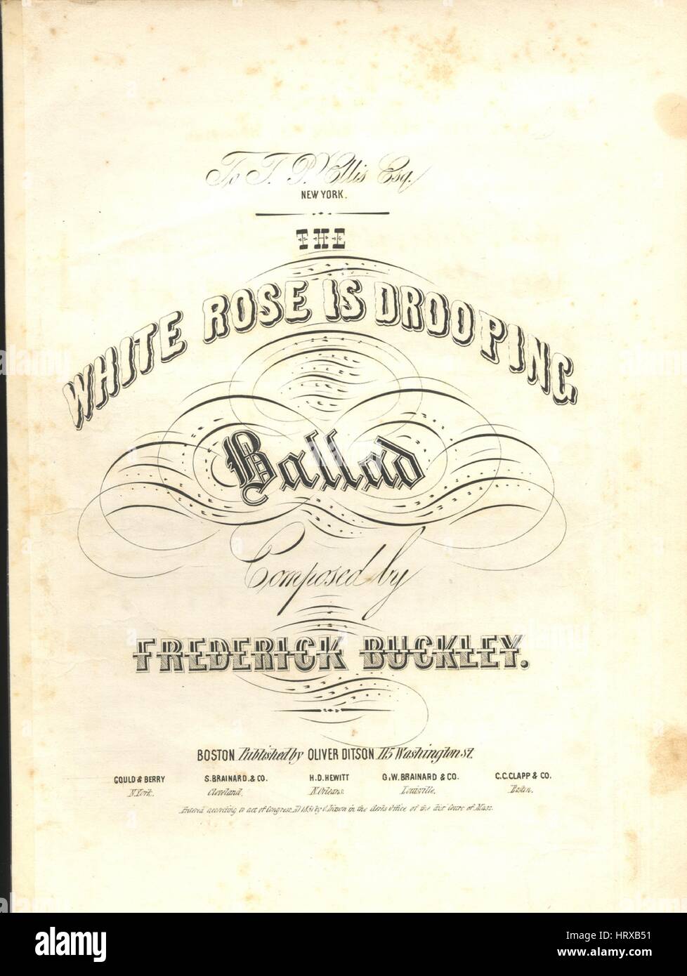 Sheet music cover image of the song 'The White Rose is Drooping Ballad ...