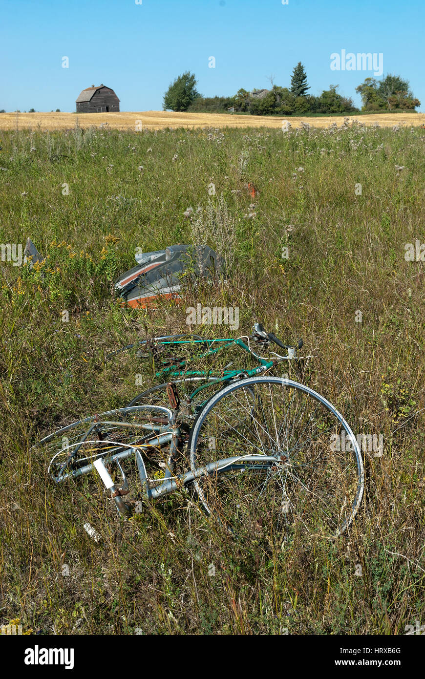 Abandoned bike on farm Stock Photo - Alamy