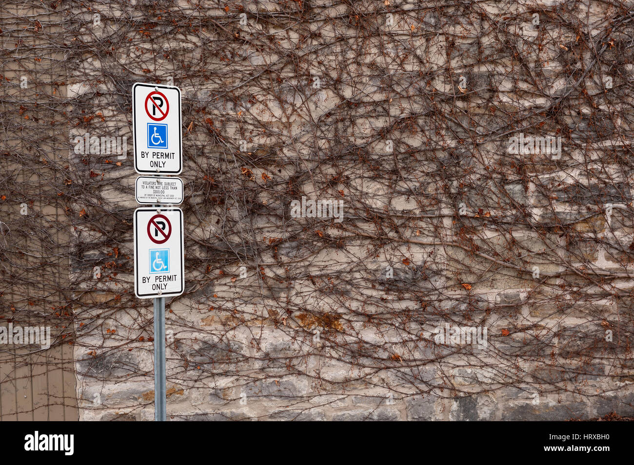 Vine covered stone wall and no parking signs Stock Photo - Alamy