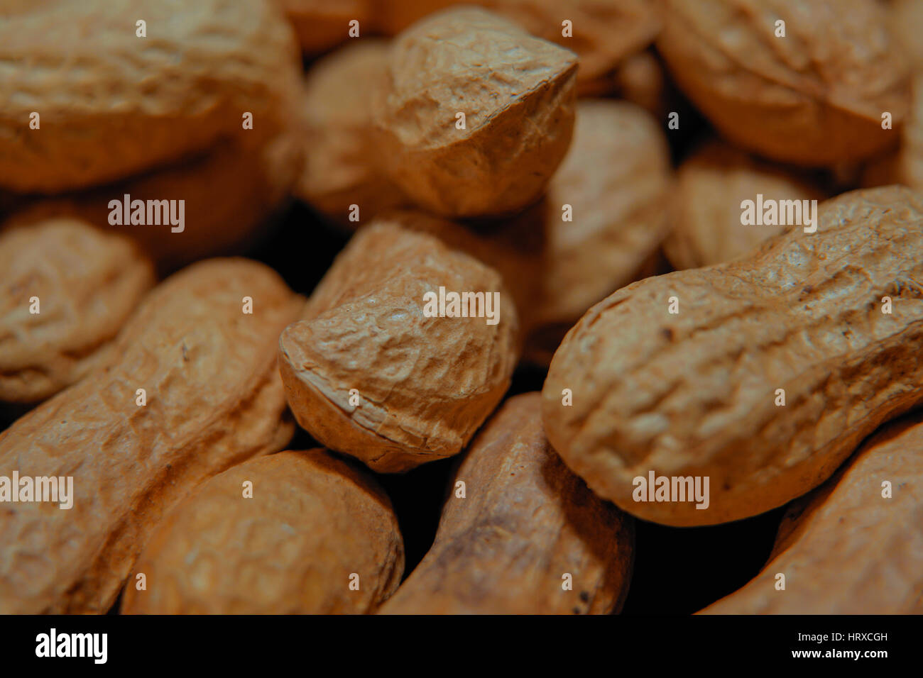 Roasted Peanuts - amazing macro shot Stock Photo - Alamy