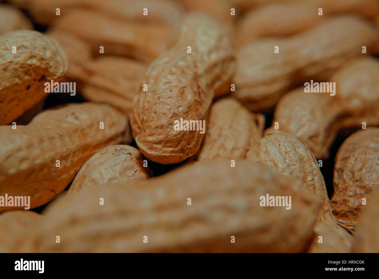 Roasted Peanuts - amazing macro shot Stock Photo - Alamy