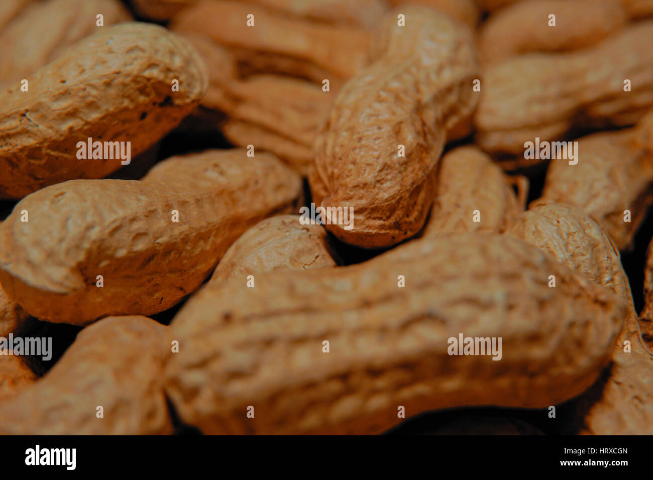 Roasted Peanuts - amazing macro shot Stock Photo - Alamy