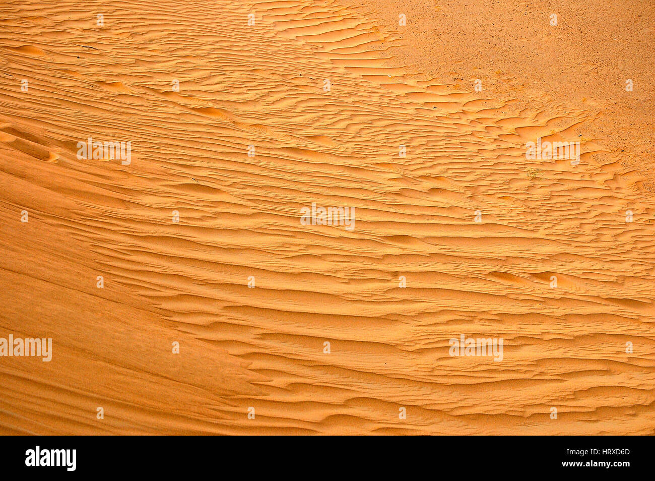 Desert sand dune with wind marks Stock Photo - Alamy