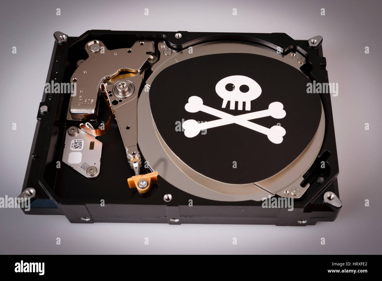 skull with bones and hard drive from computer, cyber security concept ...