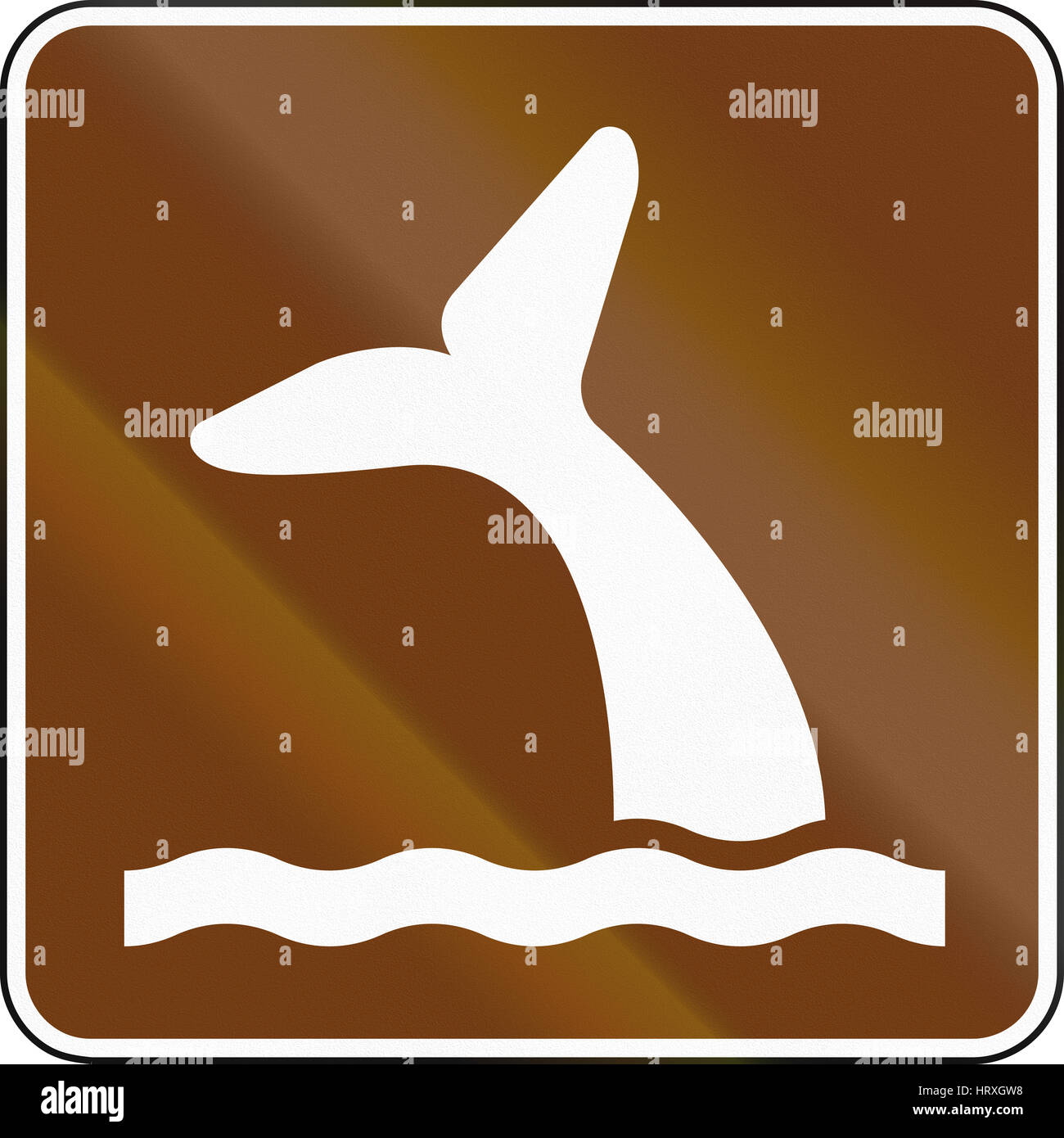 United States MUTCD guide road sign - Whale watching Stock Photo - Alamy