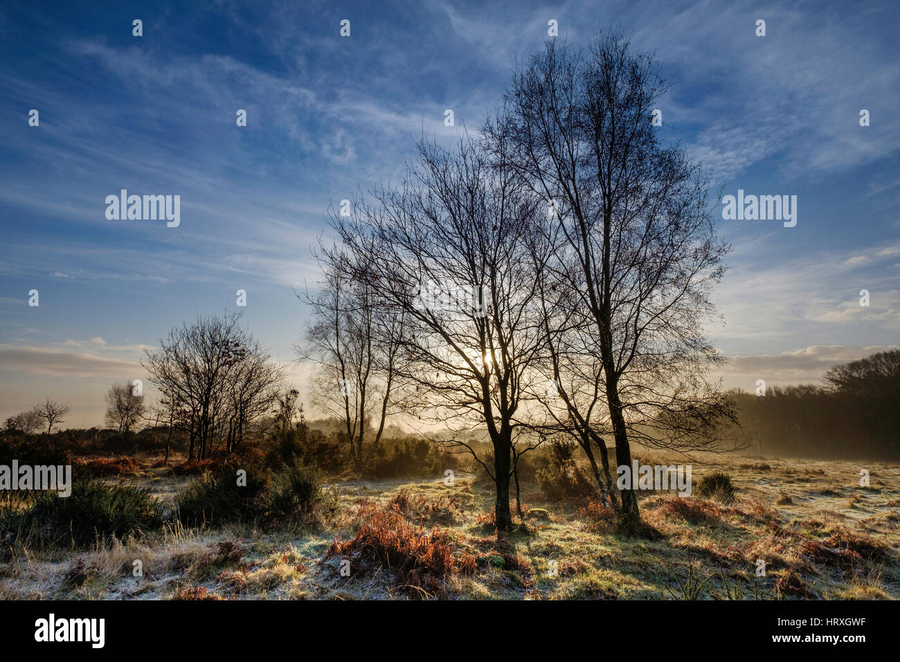 Tidenham hi-res stock photography and images - Alamy