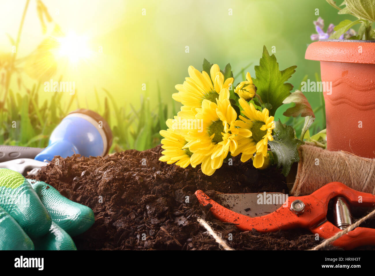 Gardening tools for trees, plants and flowers on the ground outside ...