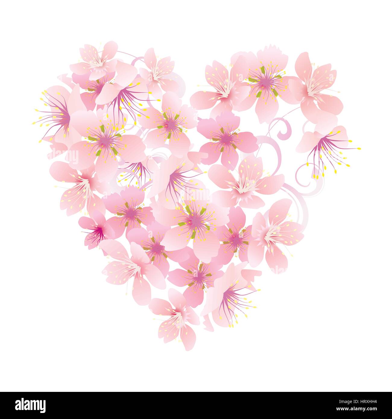 vector pink flowers heart isolated on white Stock Vector Image & Art ...