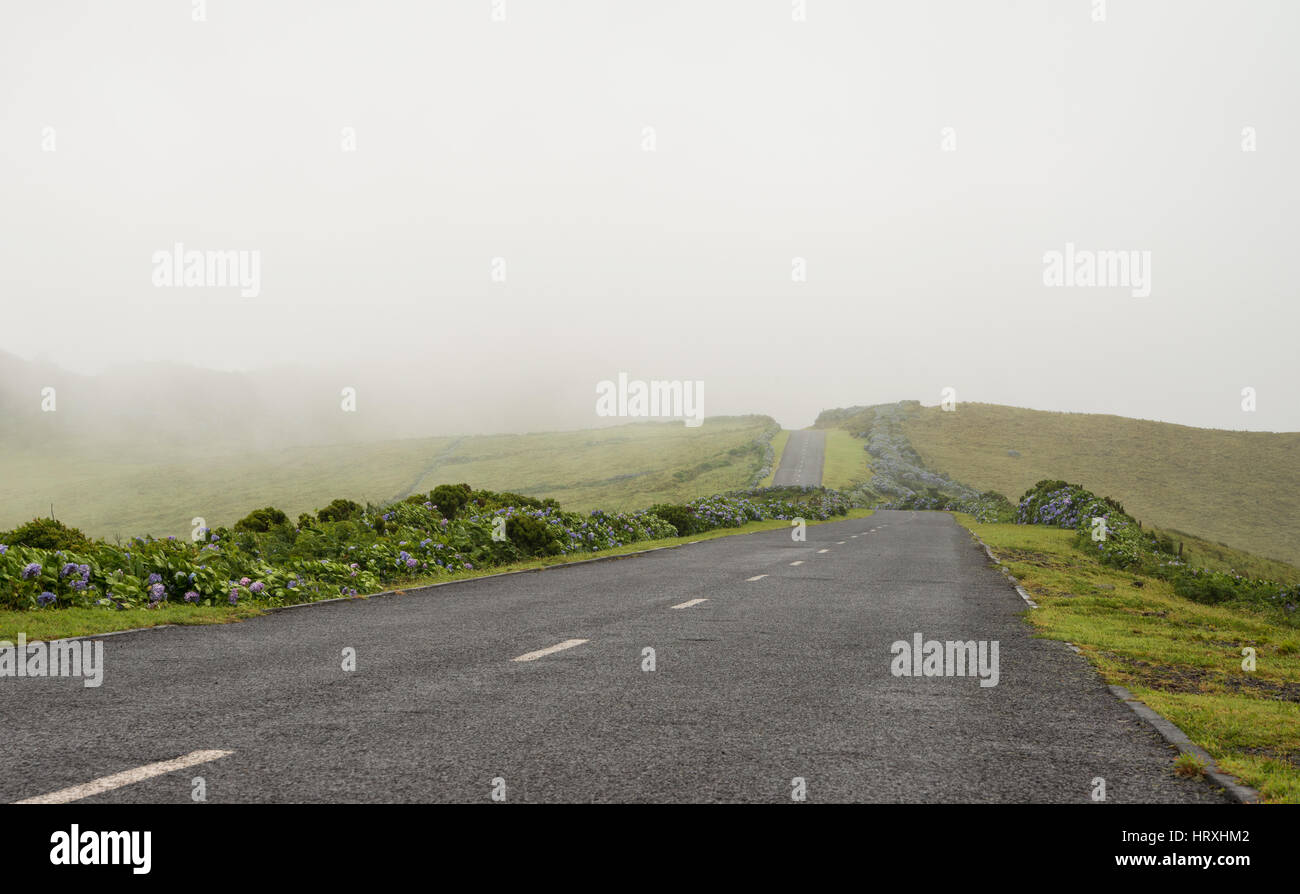 Beautiful volcanic landscape of Azores islands Stock Photo - Alamy
