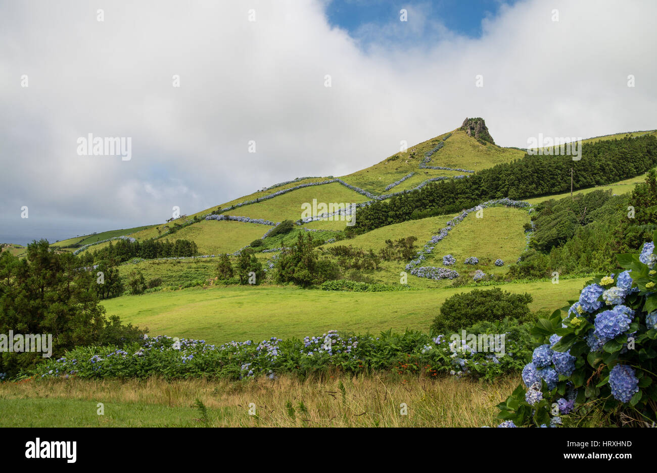 Beautiful volcanic landscape of Azores islands Stock Photo - Alamy