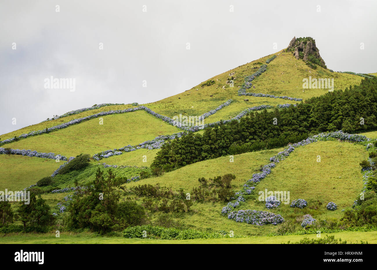 Beautiful volcanic landscape of Azores islands Stock Photo - Alamy