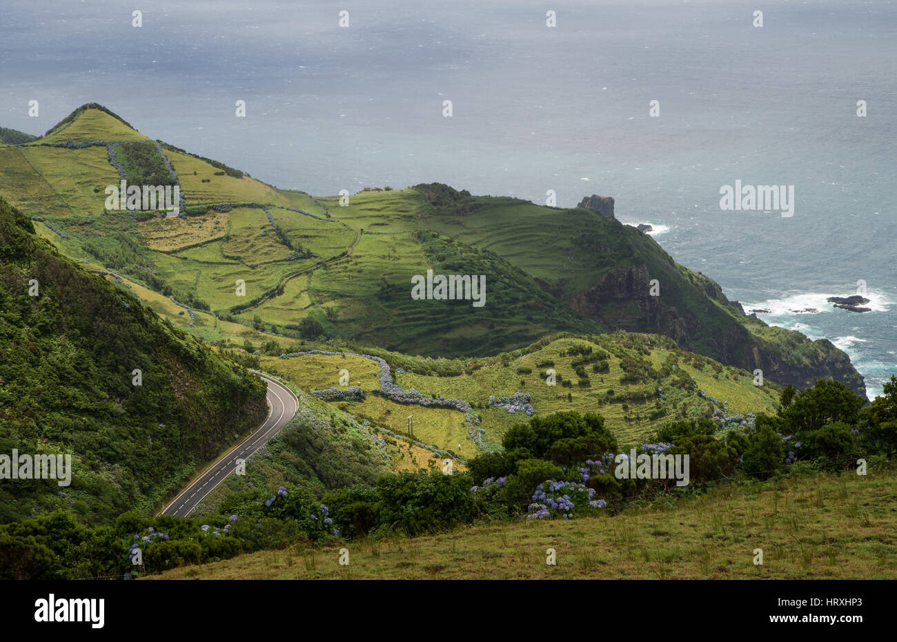 Beautiful volcanic landscape of Azores islands Stock Photo - Alamy