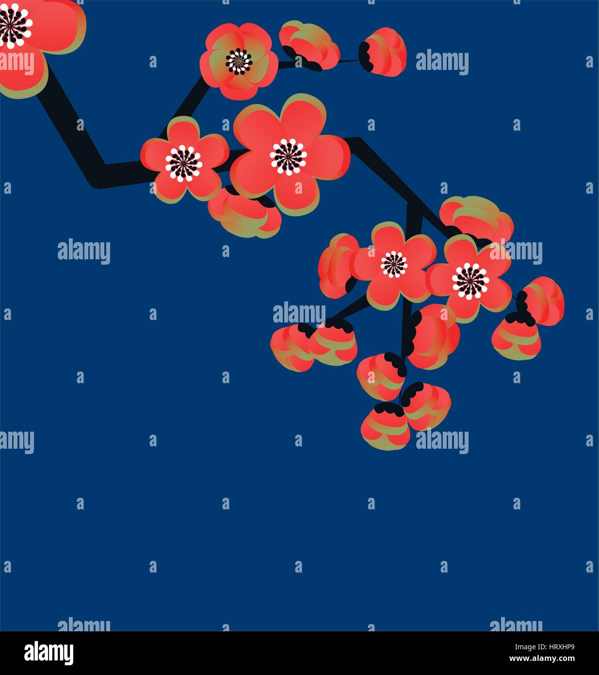 decorative sakura flowers on dark blue background Stock Vector Image ...