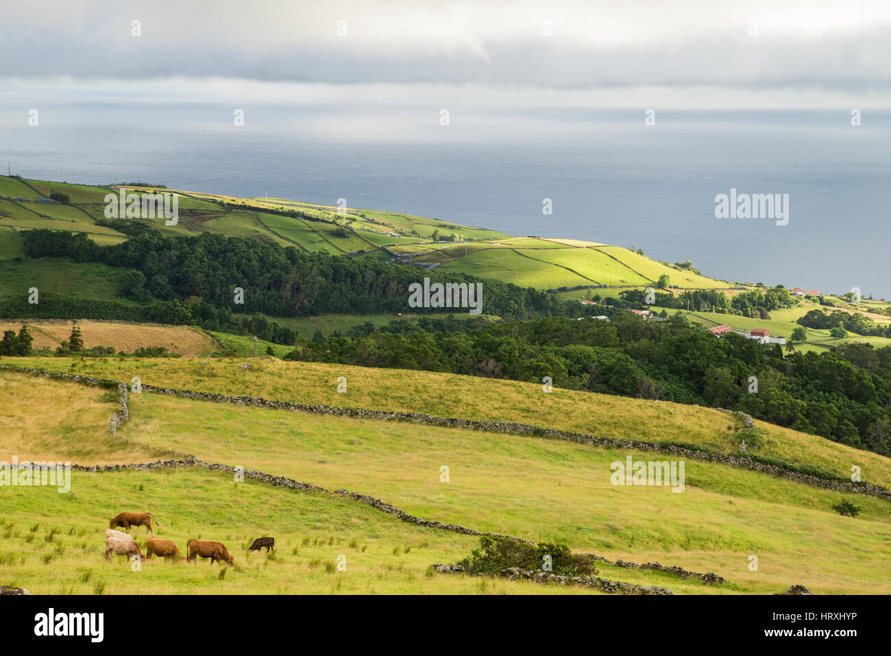 Beautiful volcanic landscape of Azores islands Stock Photo - Alamy