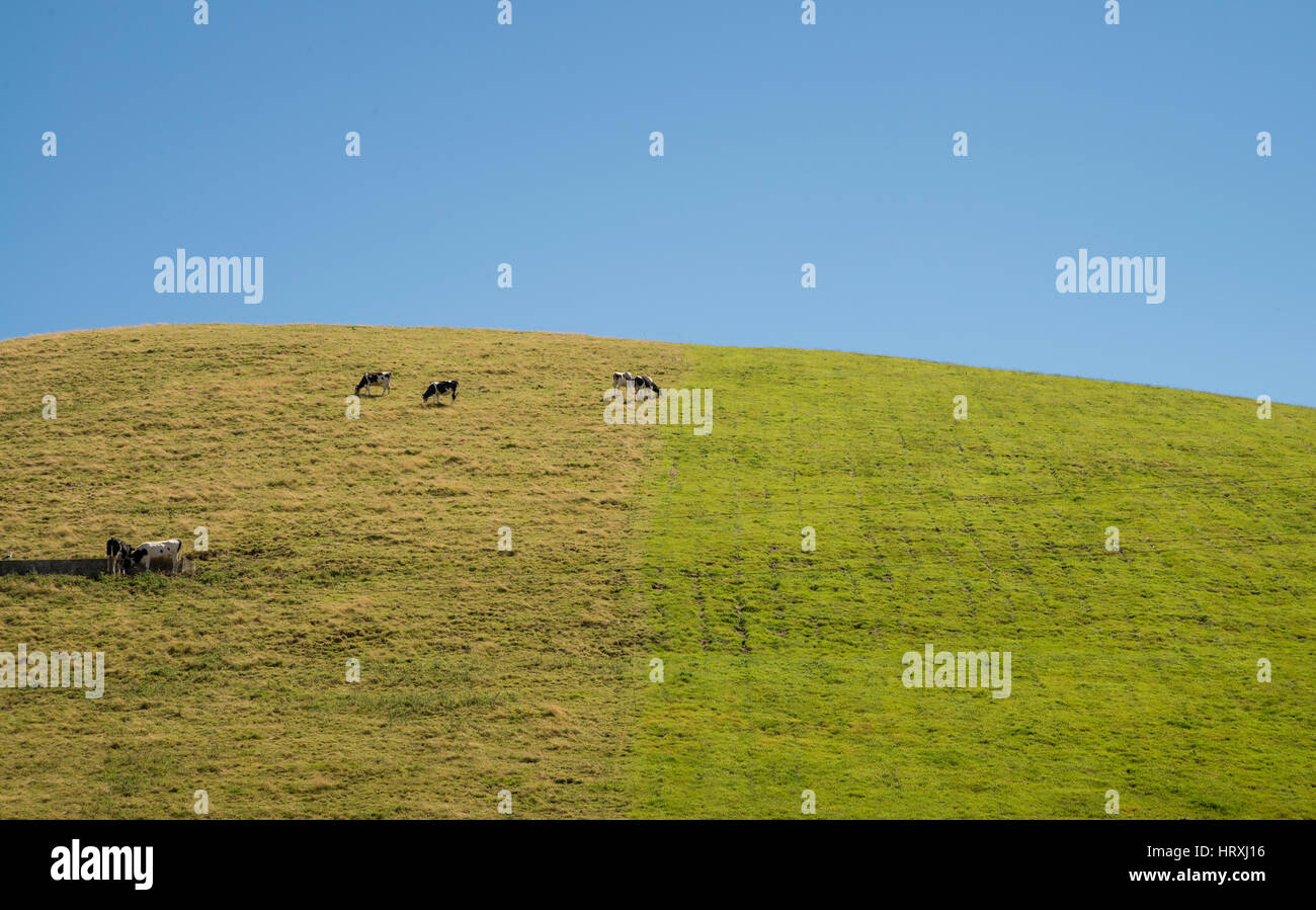 Beautiful volcanic landscape of Azores islands Stock Photo - Alamy