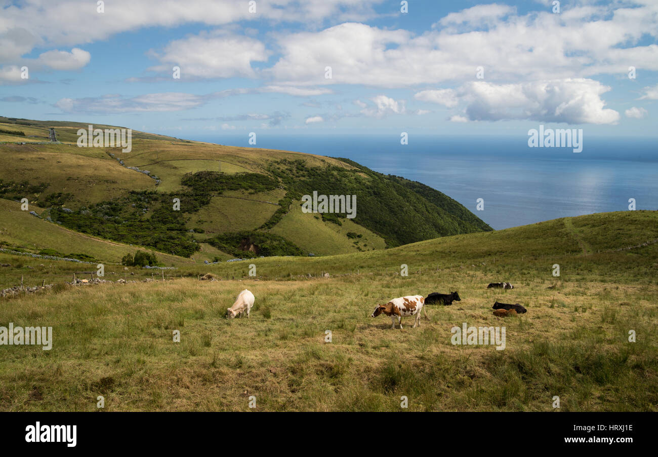 Beautiful volcanic landscape of Azores islands Stock Photo - Alamy